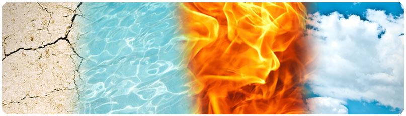 Elemental Coaching by Eli Shur